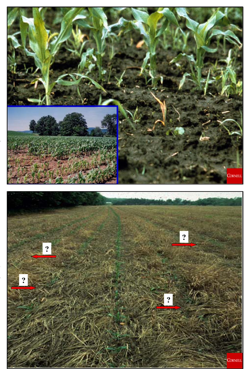 Certified Crop Advisor study resources (Northeast region)